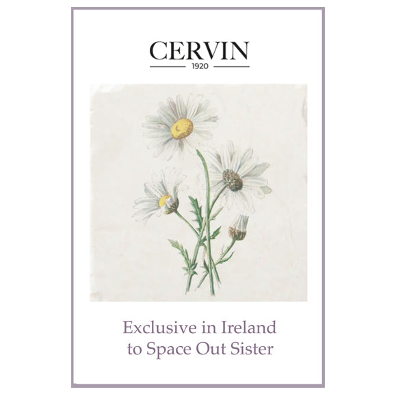 CERVIN Bas Capri 15DN Seamless Stockings Black – Space Out Sister